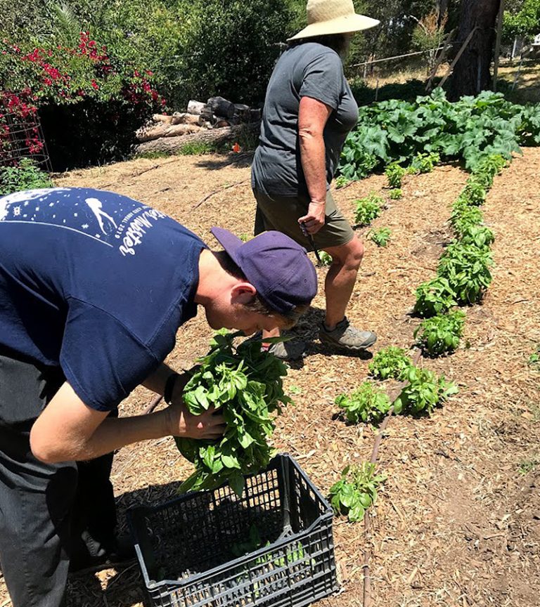 About – Froma Foods